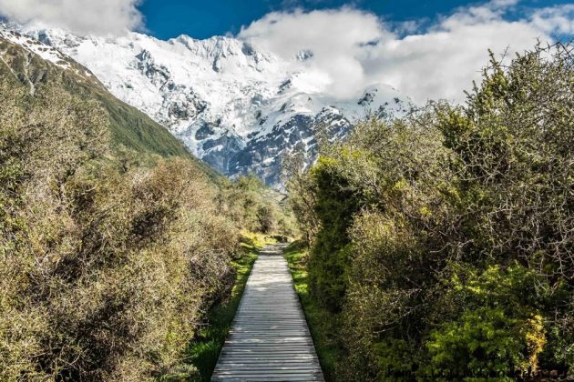 Mt Cook hike in pictures - the most beautiful place I've seen!