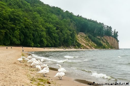 9 Reasons to Visit Gdynia, Poland - the City of Sea and Dreams