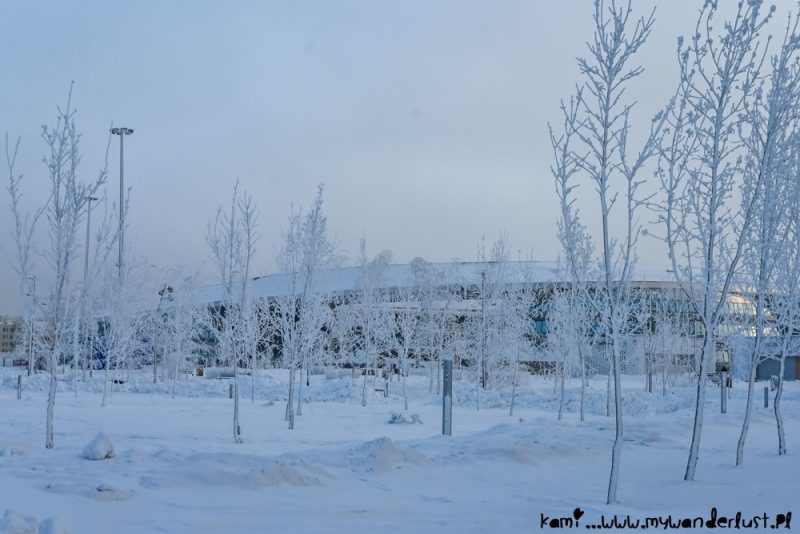 Astana in winter - a real wonderland. What to do in Astana when it's cold.