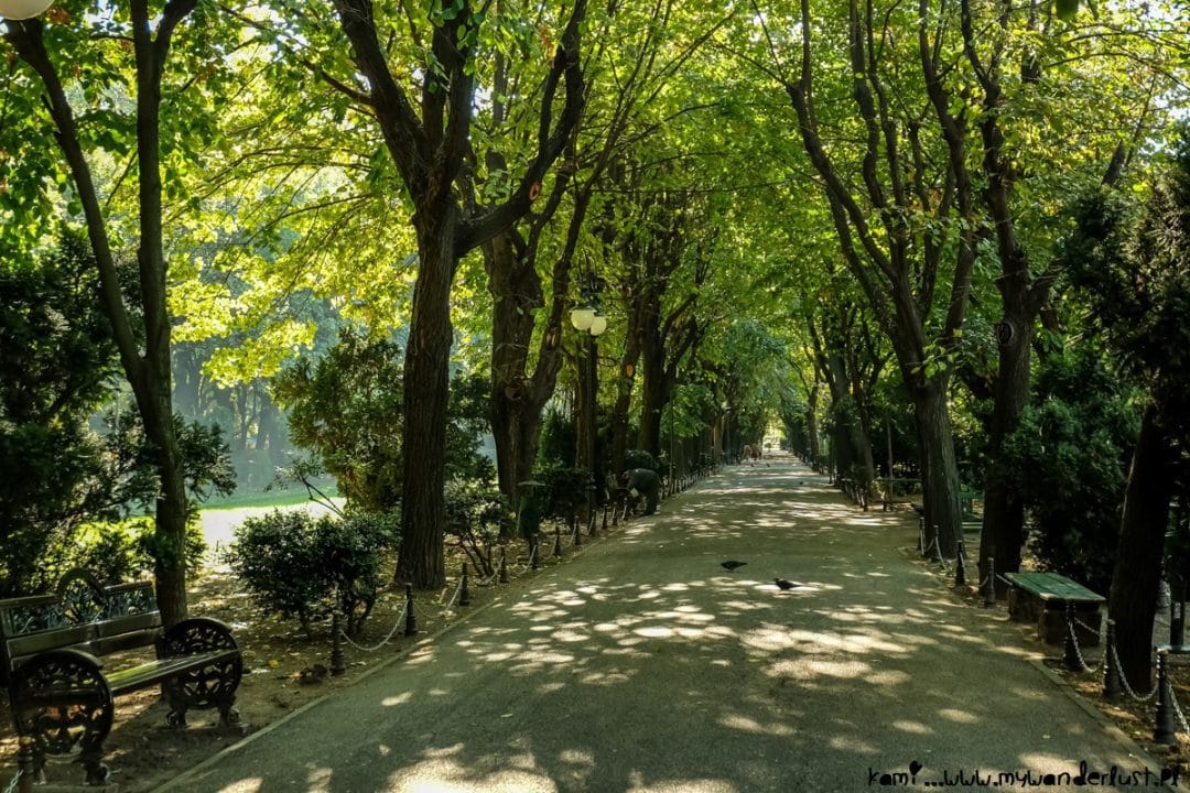 50 Bucharest Pictures that Will Inspire You to Travel to Bucharest