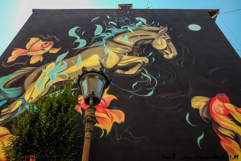 17 Great Things to Do in Novi Sad, Serbia