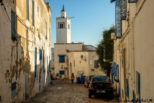 Visit Sidi Bou Said, Tunisia - the Picturesque and Charming Town