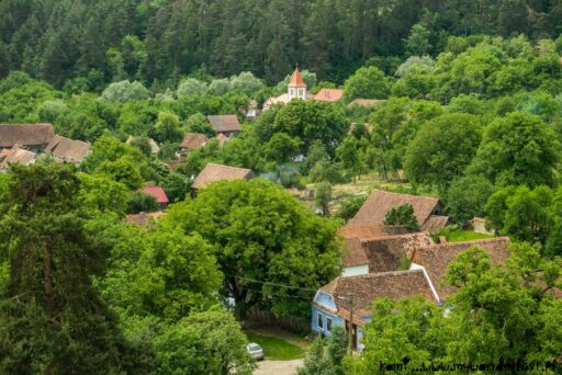 Visit Viscri, Romania - the Idyllic Saxon UNESCO Village