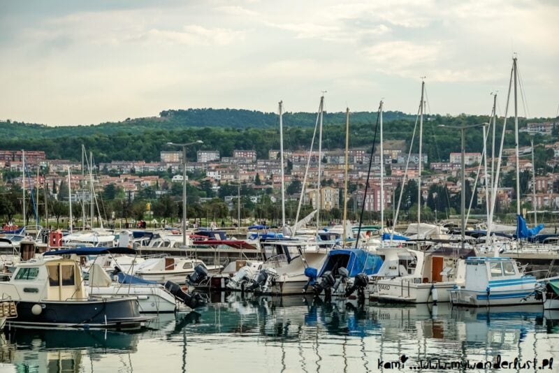 13 Great Things to Do in Koper, Slovenia