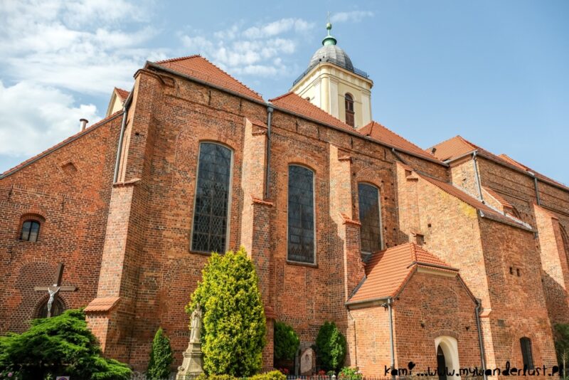 9 Best Things to Do in Zielona Gora, Poland