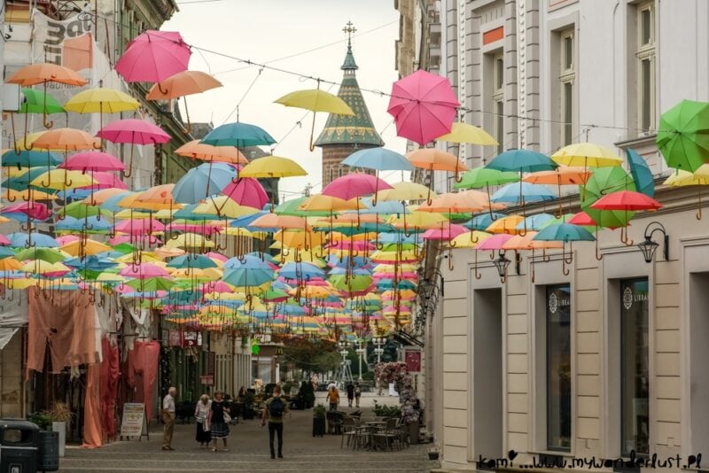 15 Amazing Things to Do in Timisoara, Romania